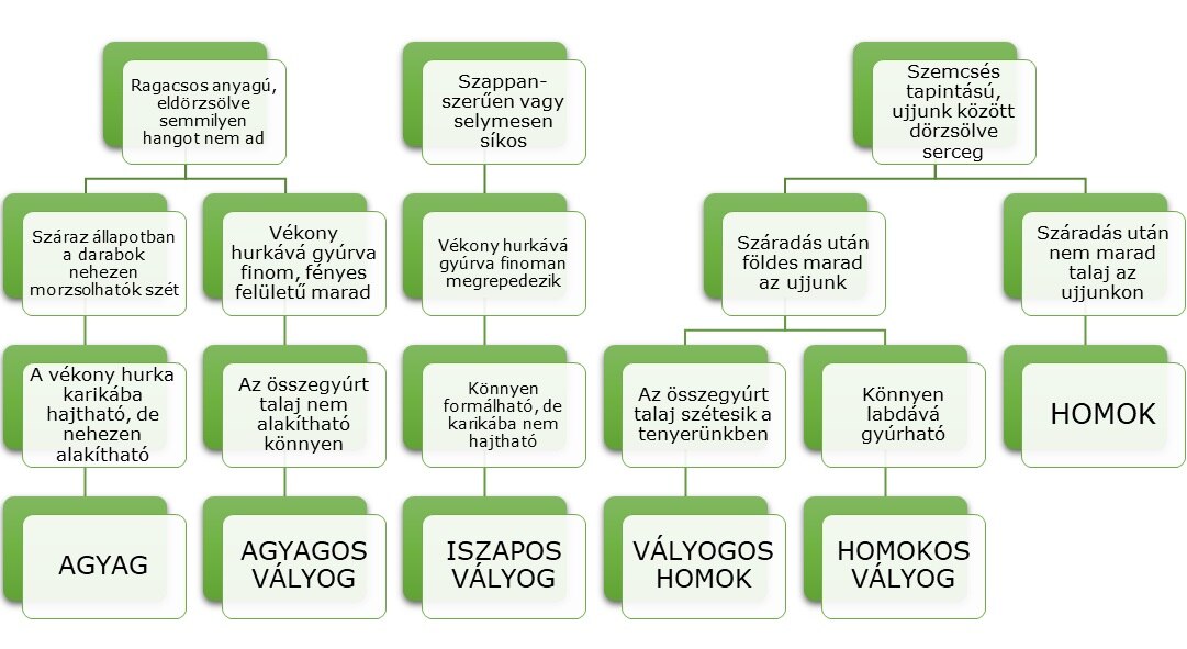 A megfelelő növényt a megfelelő helyre! II. rész – a talaj fizikai ...
