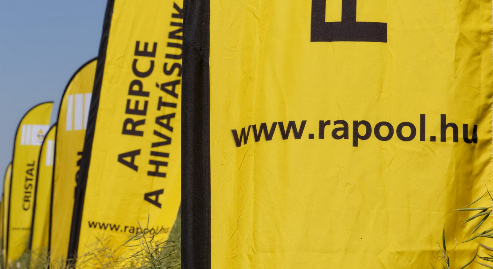 Megjelent a RAPOOL idei repcevetőmag-katalógusa