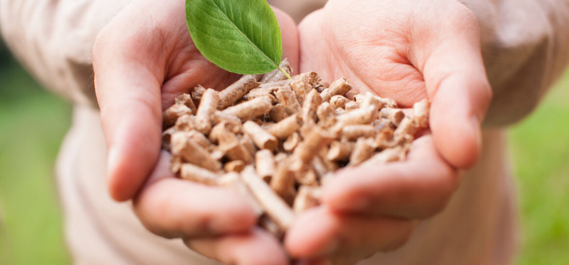 WWF: Van-e elég fenntartható biomassza Magyarországon? – nemzeti AGRO