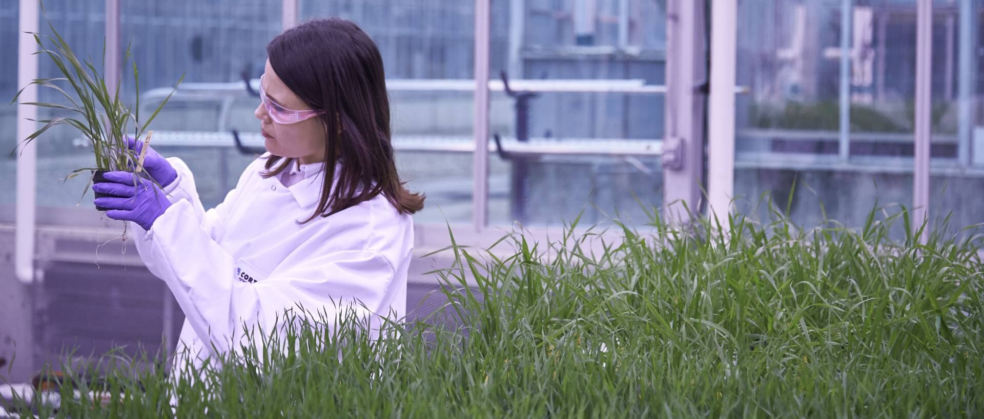 A Corteva Agriscience megállapodást írt alá a Biológiai Vezető Symborg ...