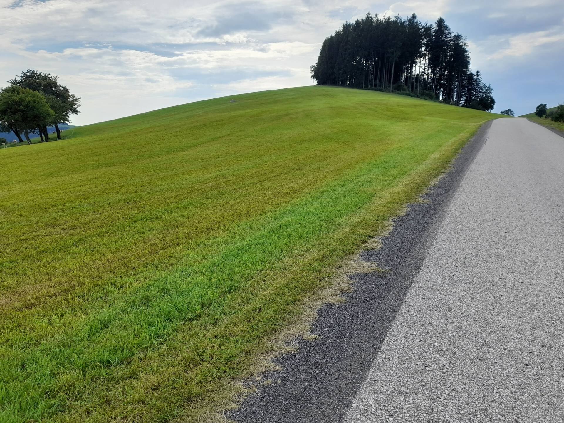 Csökkentek az árak a várhatóan nagyobb termés hírére - Agrofórum Online