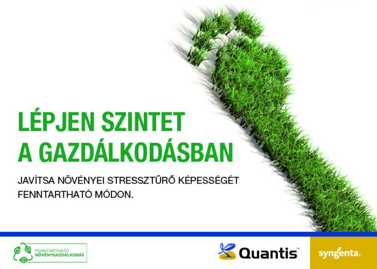 Quantis – Biostimuláció Syngenta minőségben - Agrofórum Online