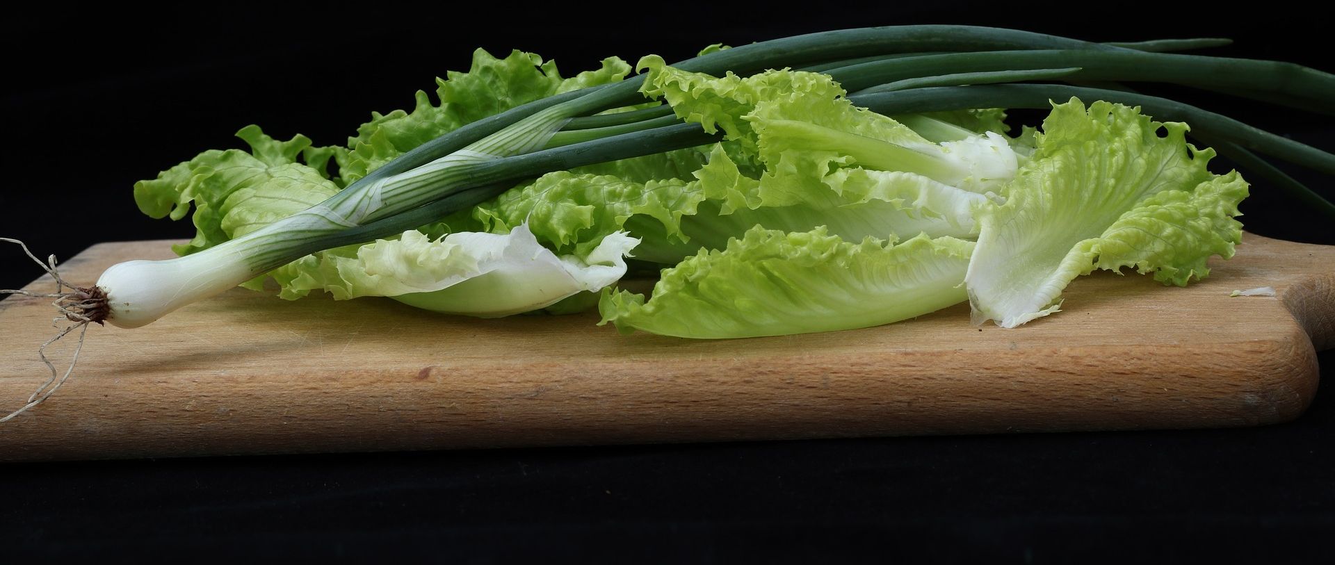 Vertikális gazdálkodás és a saláta jövője - Agrofórum Online