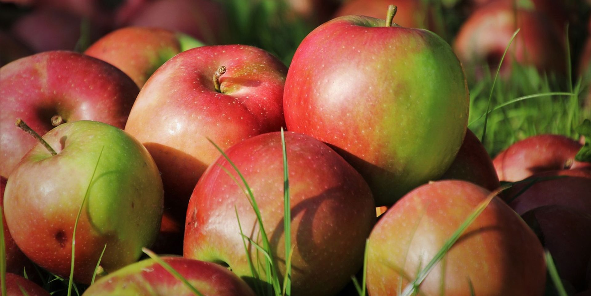 Mi rághatja meg az almák felületét?