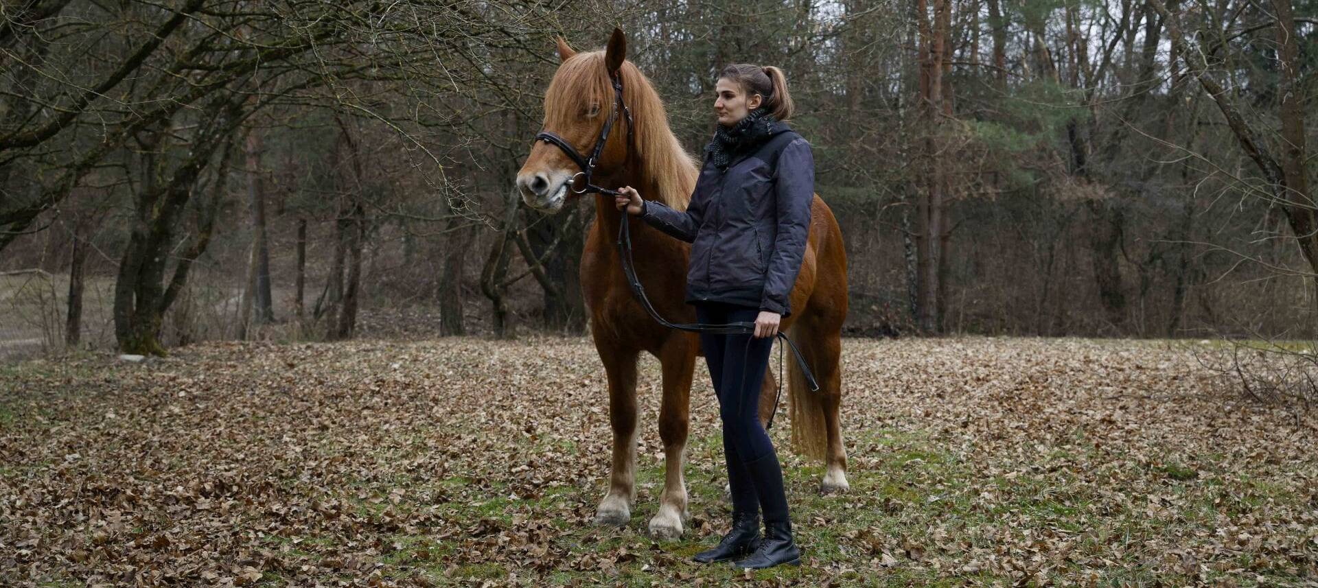 A muraközi ló nemzeti kincsünk