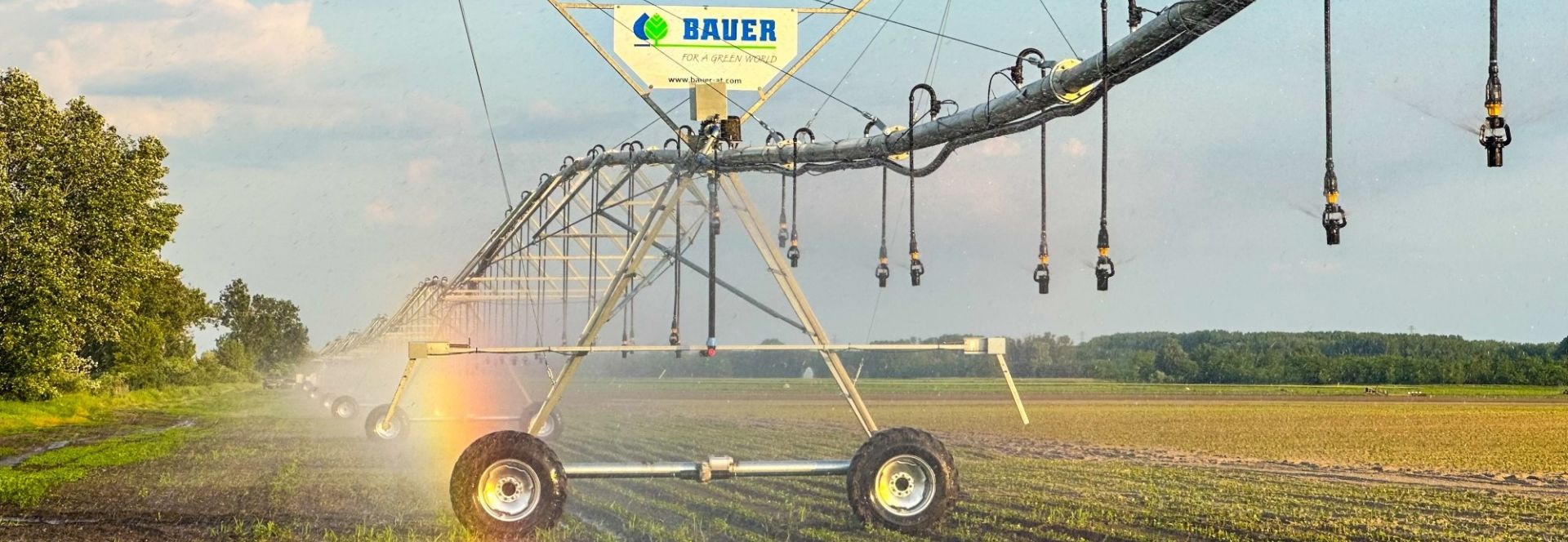 Pünkösdirózsa- és zöldségtermesztés – Öntözés Bauerrel