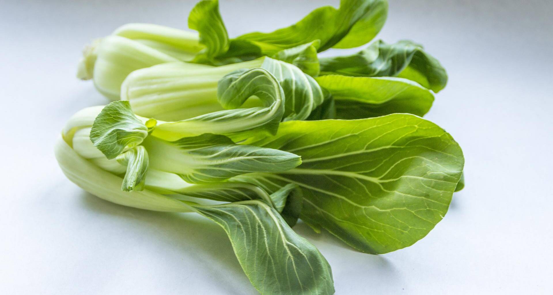 Mi is termeszthetünk pak choit, sőt, el is tehetjük télire