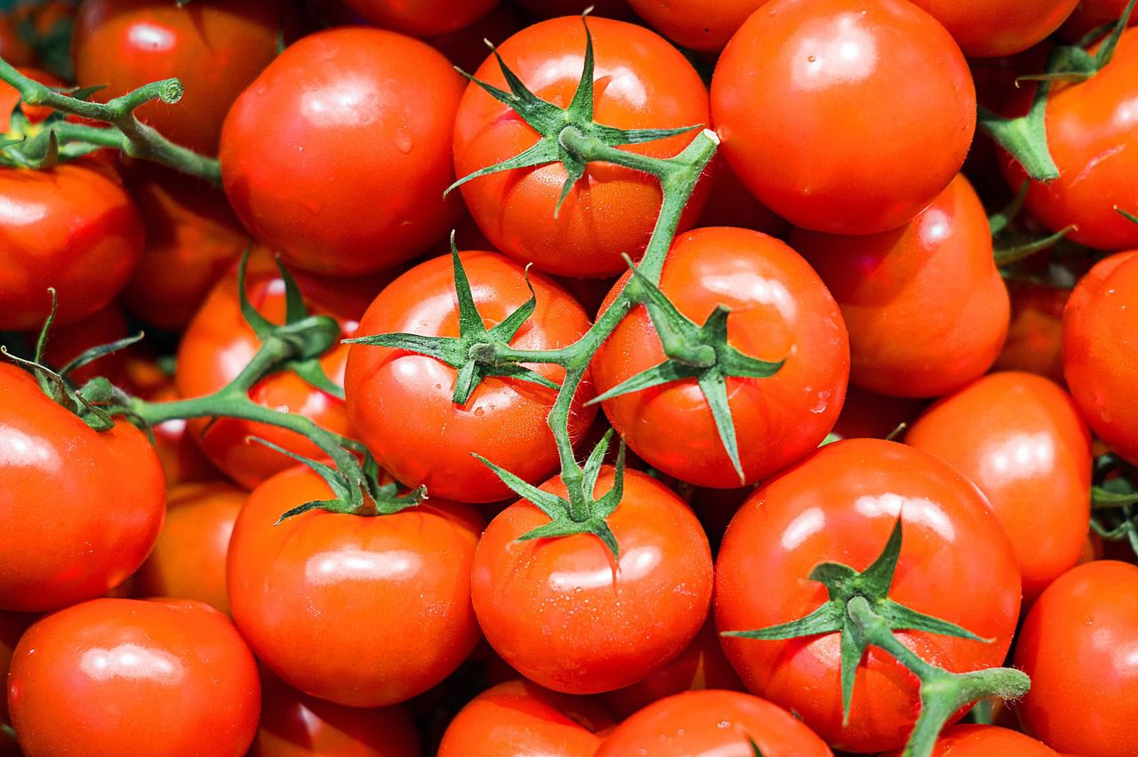 Érdemes még paradicsommagot vetni?